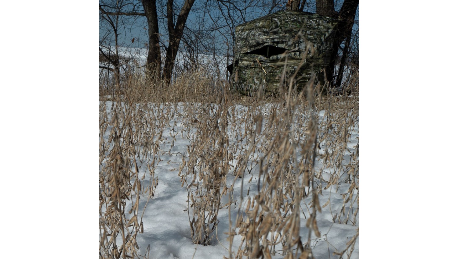 Primos Hunting Double Bull SurroundView Max Ground Blind