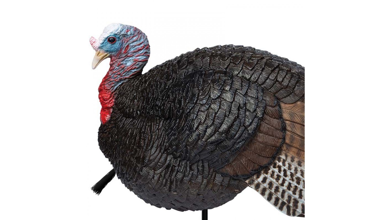 Primos Turkey Box Calls Primos Photoform Turkey Decoy - Collapsible ...