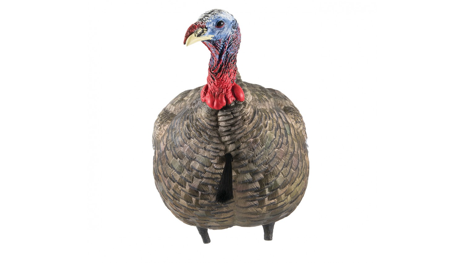 Avian X LCD Quarter-Strut Jake Turkey Decoy