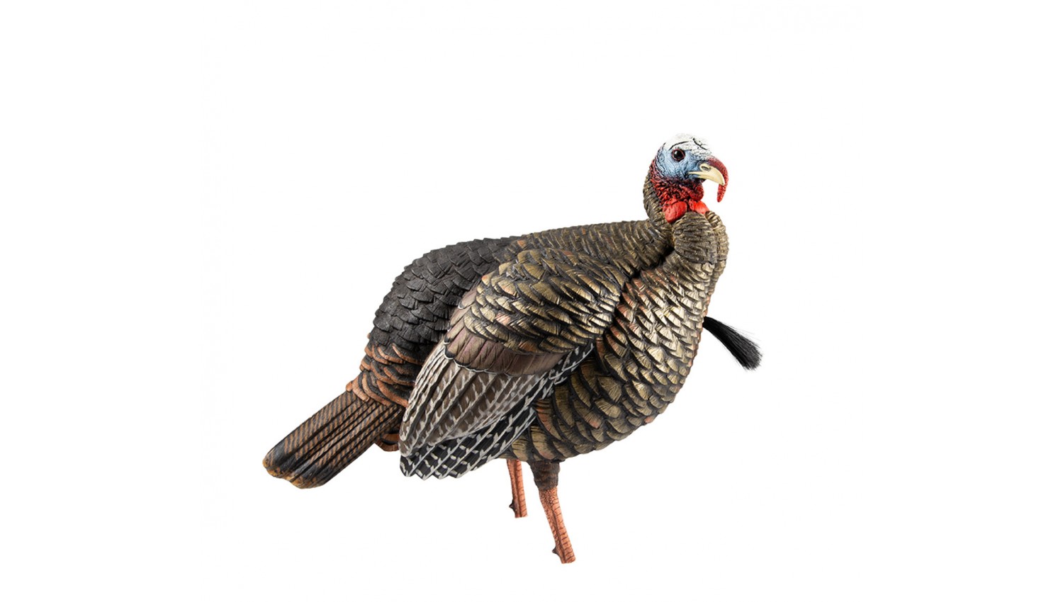 Avian X HDR Jake Turkey Decoy