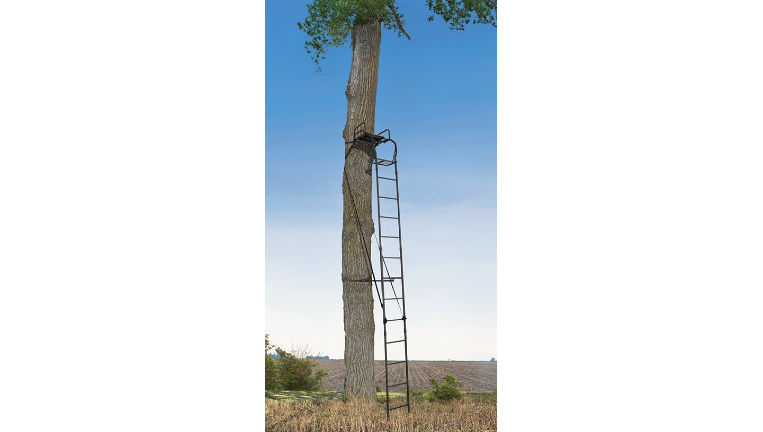 Big Game Warrior Pro Tree Stand